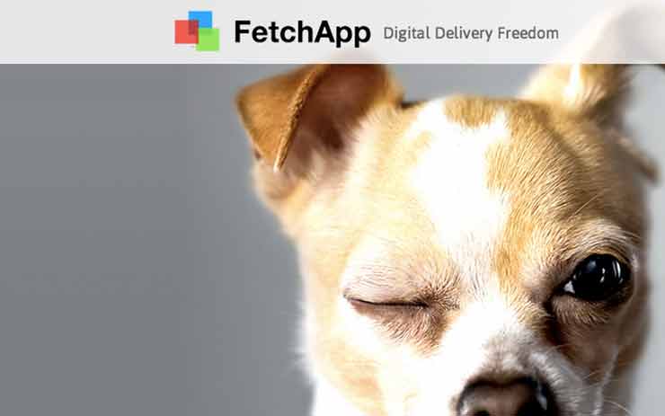 Fetchapp – Pogodan